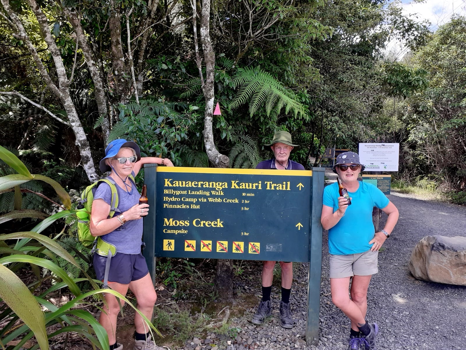 Step-by-Step Guide to the Kauaeranga Kauri Trail 'The Pinnacles ...