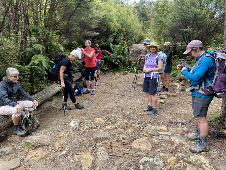 Step-by-Step Guide to the Kauaeranga Kauri Trail 'The Pinnacles ...