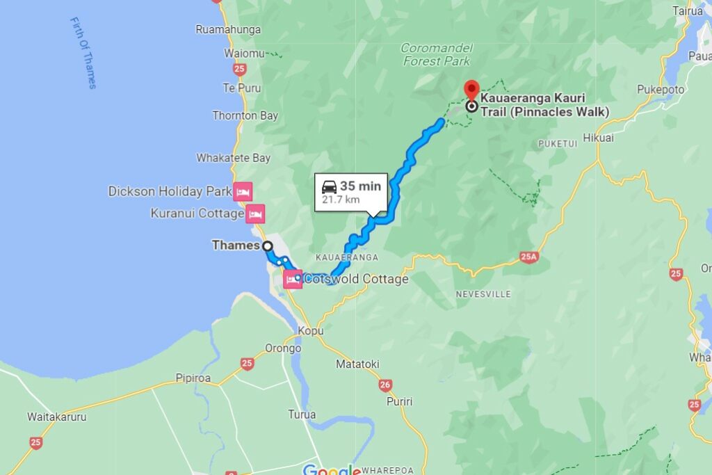 Step-by-Step Guide to the Kauaeranga Kauri Trail 'The Pinnacles ...