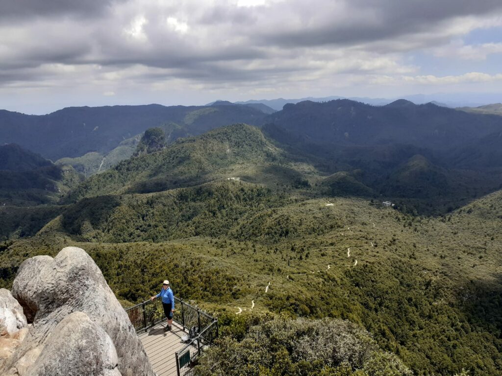 Step-by-Step Guide to the Kauaeranga Kauri Trail 'The Pinnacles ...